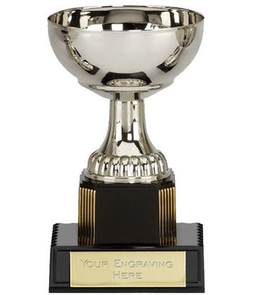 Silver Trophy Cups | Trophy Store