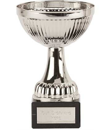 Silver Trophy Cups | Trophy Store