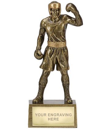 Boxing Trophies | Trophy Store