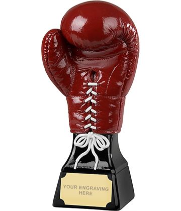 Boxing Trophies | Trophy Store