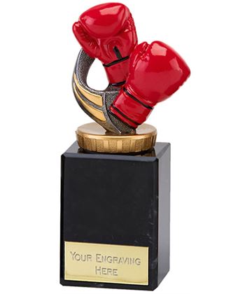 Boxing Trophies | Trophy Store