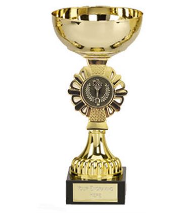 Gold Trophy Cups | Trophy Store
