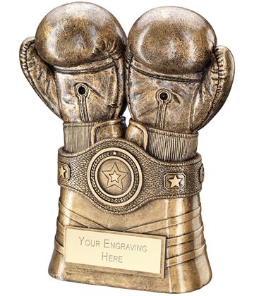 Boxing Trophies | Trophy Store
