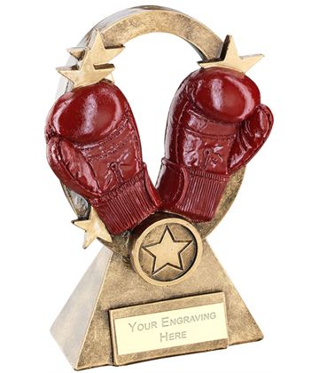 Boxing Trophies | Trophy Store