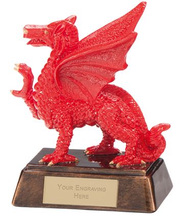 Welsh Trophies | Trophy Store