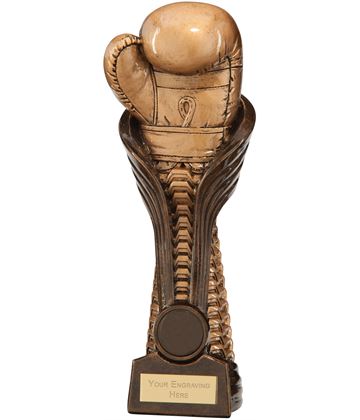 Boxing Trophies | Trophy Store