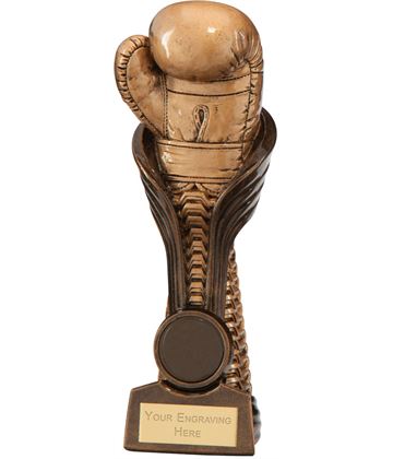 Boxing Trophies | Trophy Store