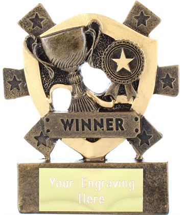 Winner Trophies | Trophy Store