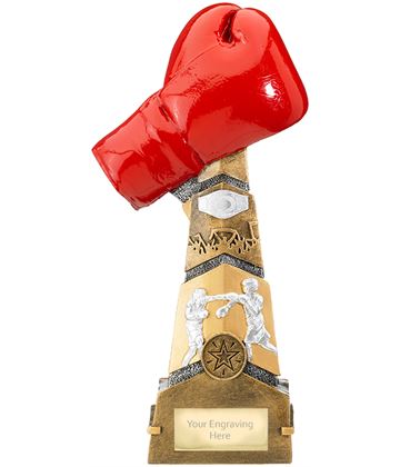 Boxing Trophies | Trophy Store