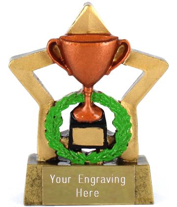 Sports Day Trophies | Trophy Store