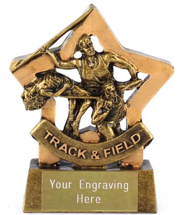 Running Trophies and Cross Country Trophies | Trophy Store