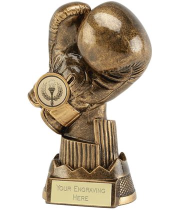 Boxing Trophies | Trophy Store