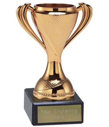 Sports Day Trophies | Trophy Store