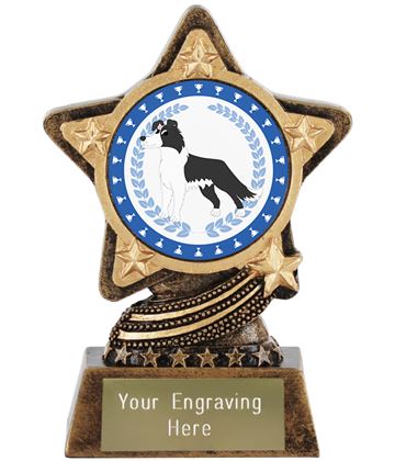 Dog Trophies | Trophy Store