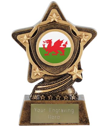 Welsh Trophies | Trophy Store