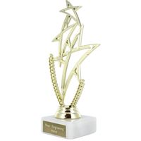 Gold Rising Star Multi Award Trophy 19cm (7.5")