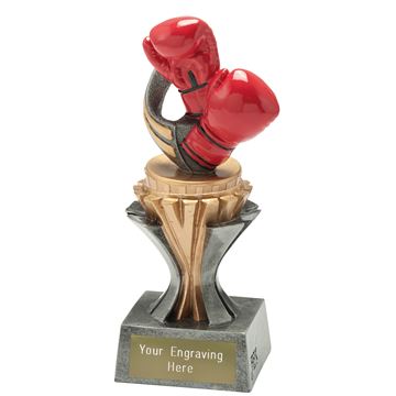 Boxing Glove Trophies | Trophy Store