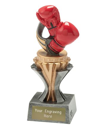 Boxing Trophies | Trophy Store
