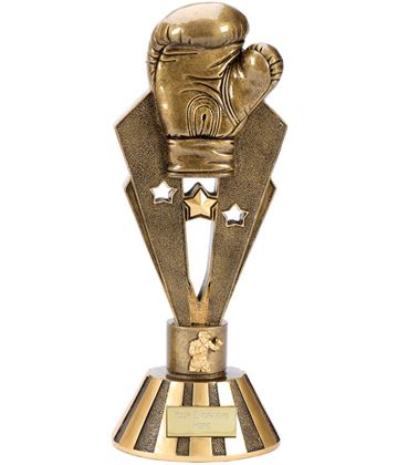 Boxing Trophies | Trophy Store