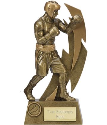 Boxing Trophies | Trophy Store