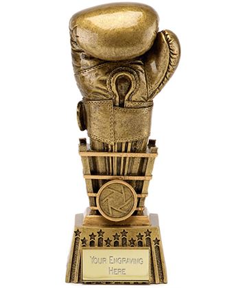 Boxing Trophies | Trophy Store