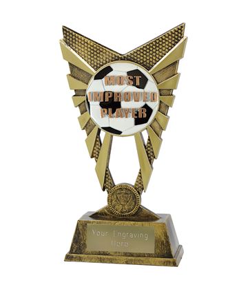 Individual Football Player Awards | Trophy Store
