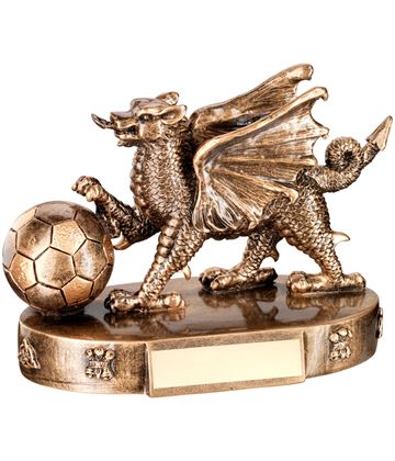 Welsh Trophies | Trophy Store
