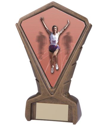 Running Trophies and Cross Country Trophies | Trophy Store
