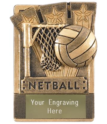 Netball Trophies | Trophy Store