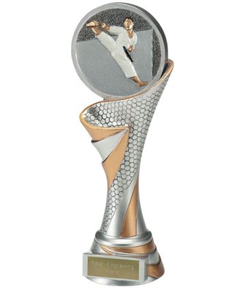 Martial Arts Trophies | Trophy Store