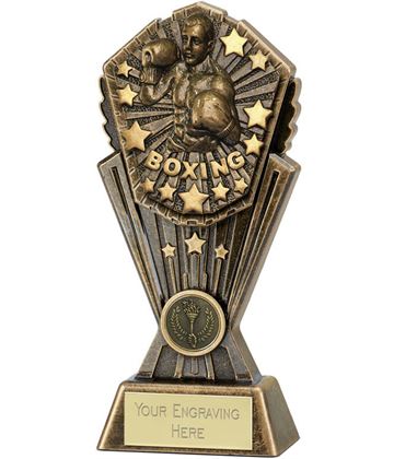 Boxing Trophies | Trophy Store