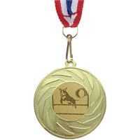 Spiral Glory Dog Agility Medal with Medal Ribbon Gold 50mm (2")