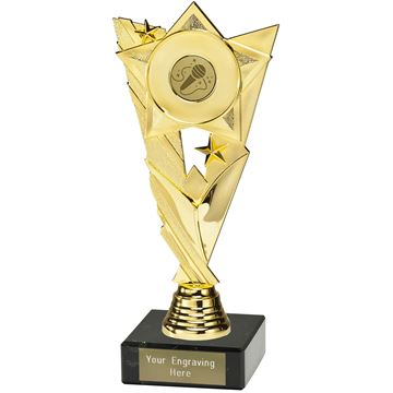 Singing Trophies and Karaoke Trophies | Trophy Store