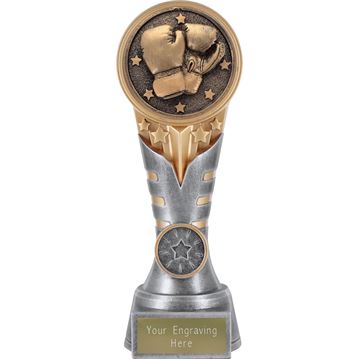 Boxing Trophies | Trophy Store