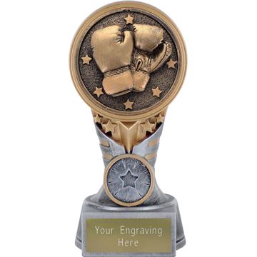 Boxing Trophies | Trophy Store